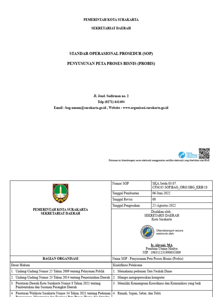 Standar Operasional Prosedur (Sop) Penyusunan Peta Proses Bisnis (Probis) | PDF