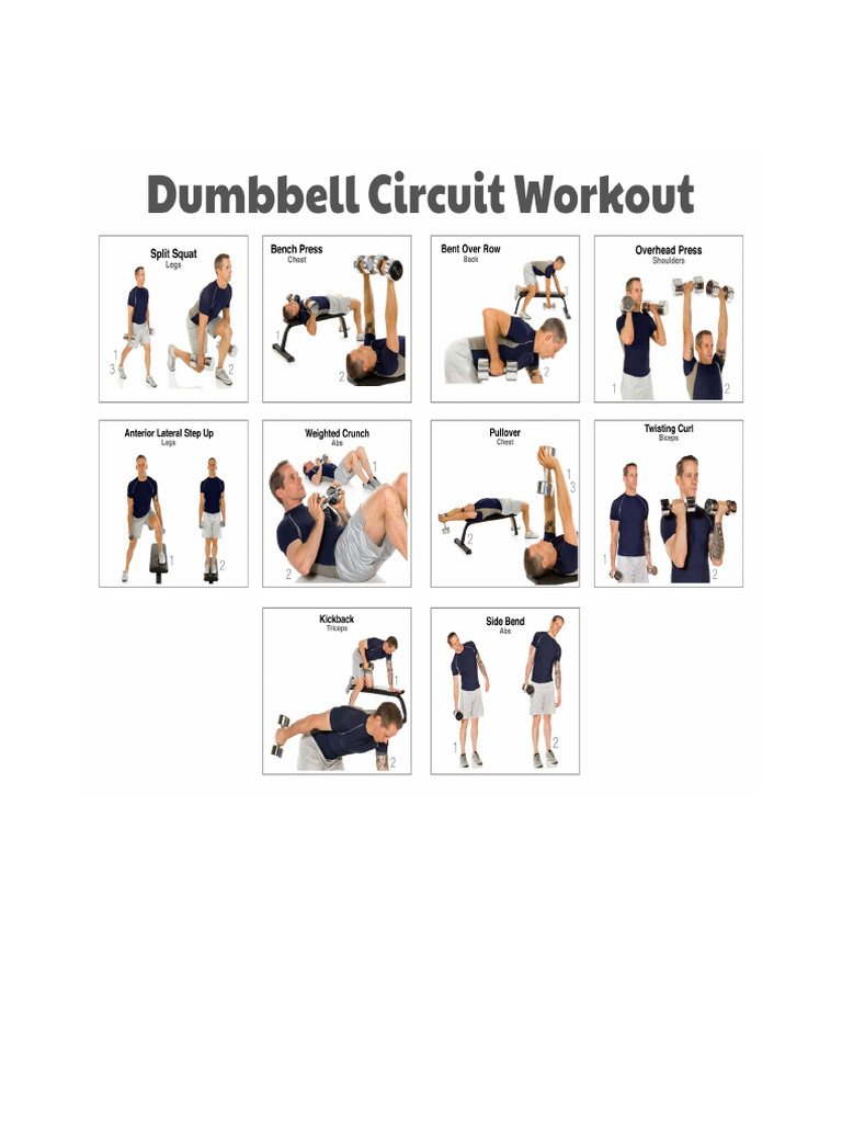 Circuit Workout With Dumbbells - 260486.jpg | PDF