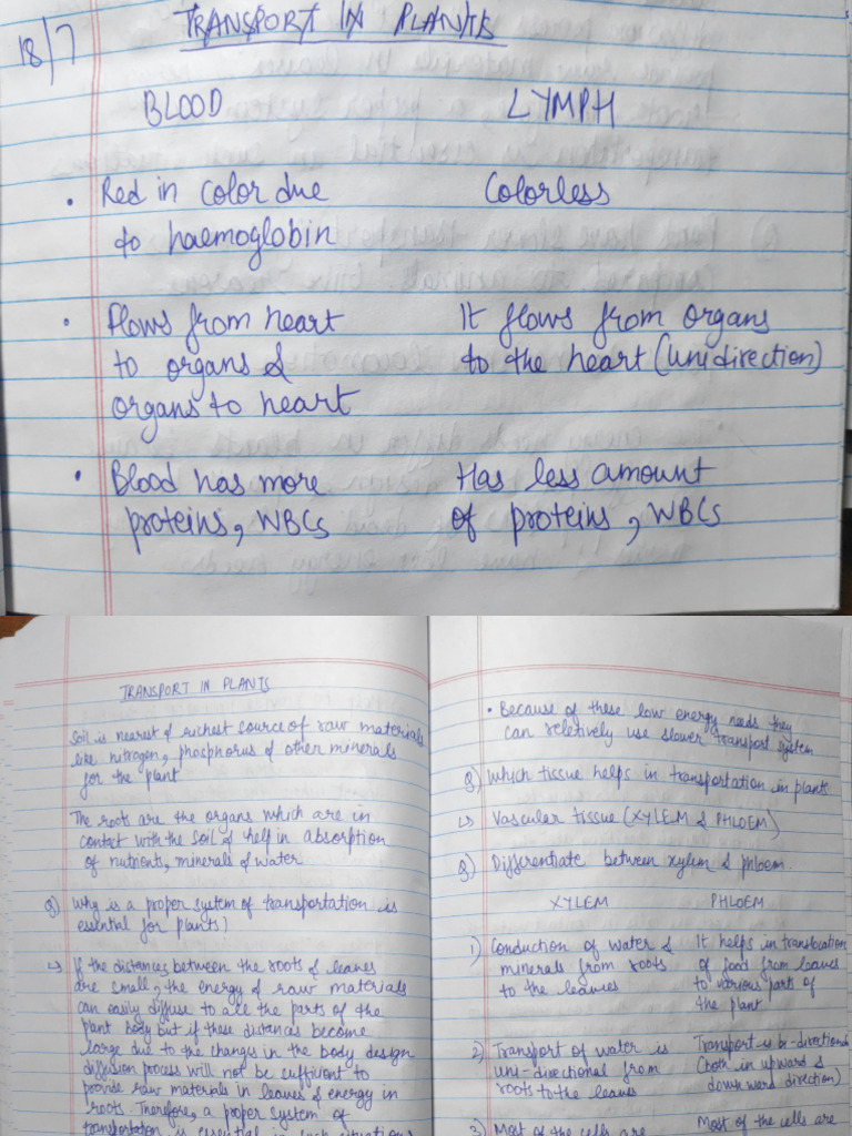 Biology Class 10 | PDF