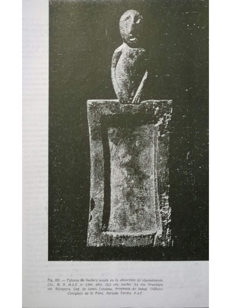 Rex-Gonzalez-Arte-Precolombinon-a-Su-Historia-Cultural-Copia 372 | PDF