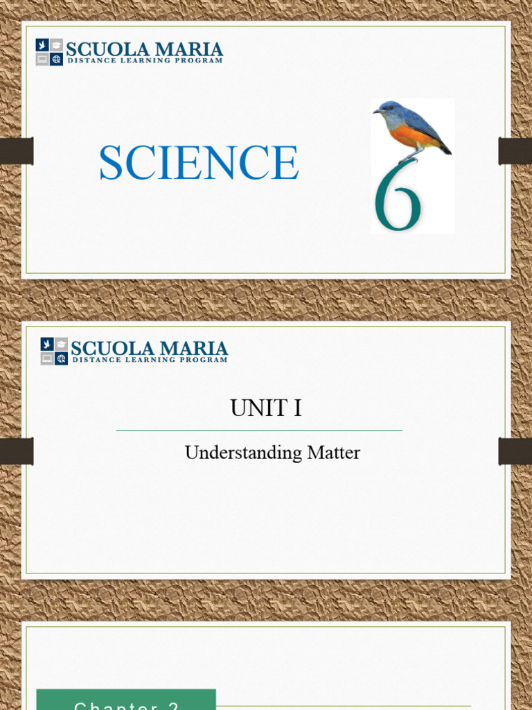 Sci6-Lesson 2.4 | PDF