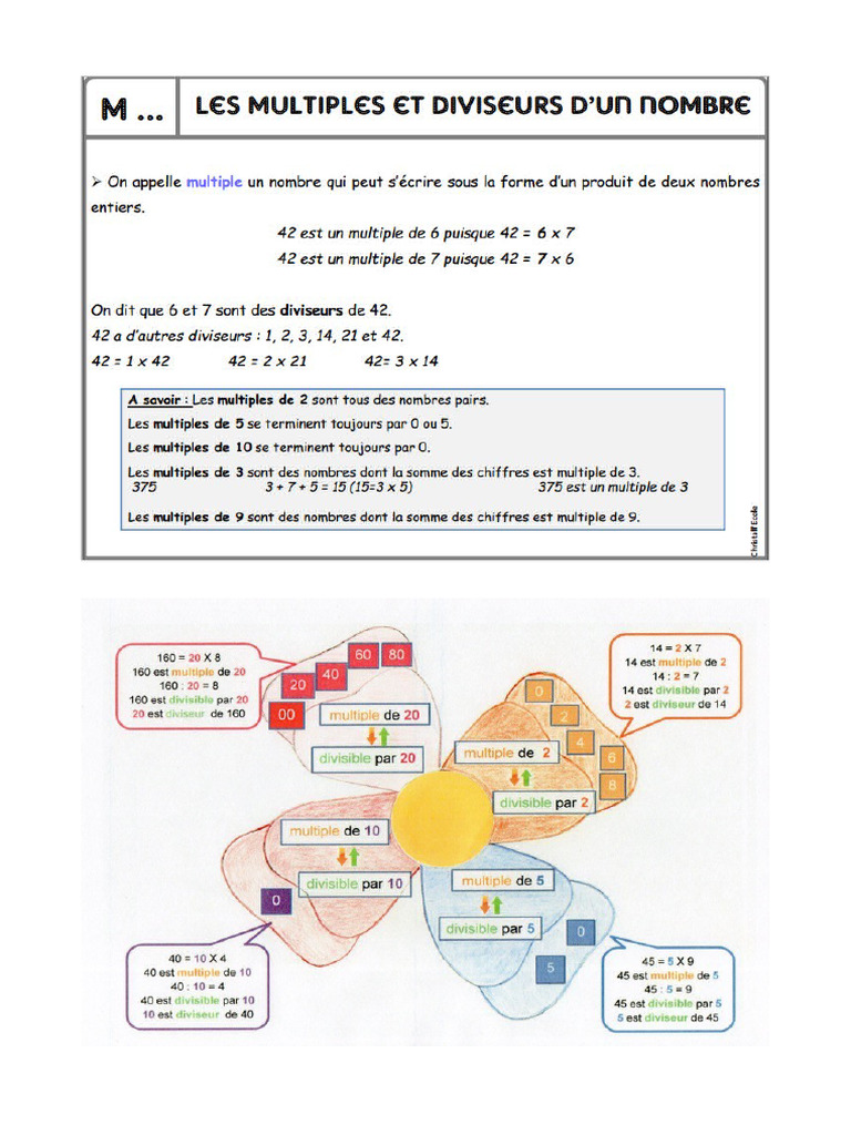 Fleur Multiplication | PDF