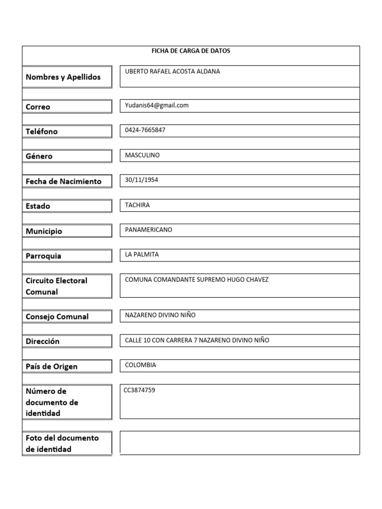 Ficha de Carga de Datos | PDF