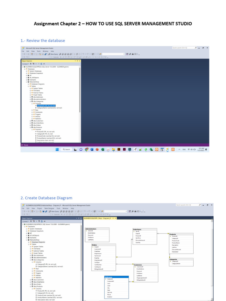 SQL Server Studio Guide | PDF
