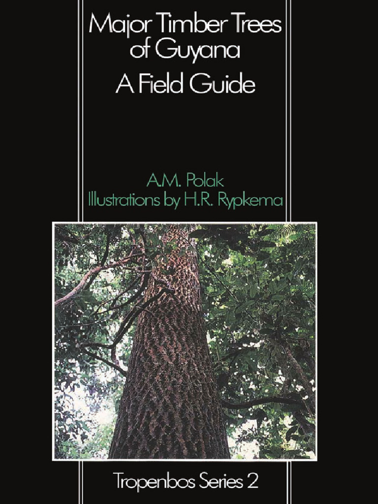 TBI Series2 Web | PDF | Forests | Forestry