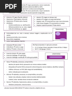 Metodo RaPeVA GAVeCeLT | PDF | Sistema cardiovascular | Sistema ...