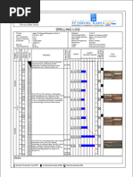 Contoh Borlog | PDF | Pengujian | Ilmu Tanah