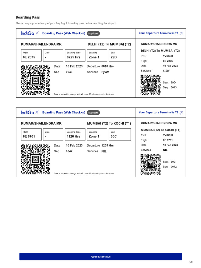 Boarding Pass | PDF