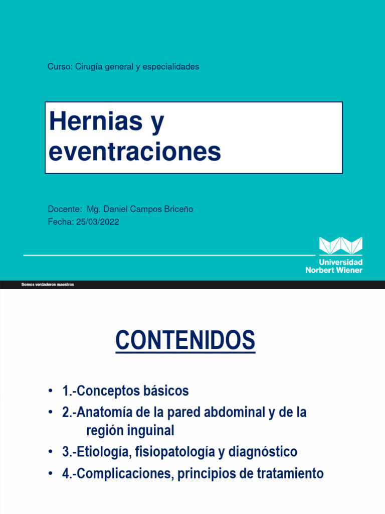 Hernias: Anatomía y Tratamiento | PDF | Sistema musculoesquelético | Anatomía