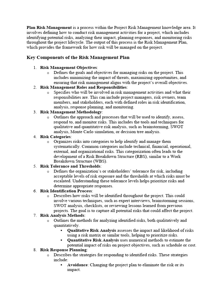 Plan Risk Management | PDF | Risk | Risk Management