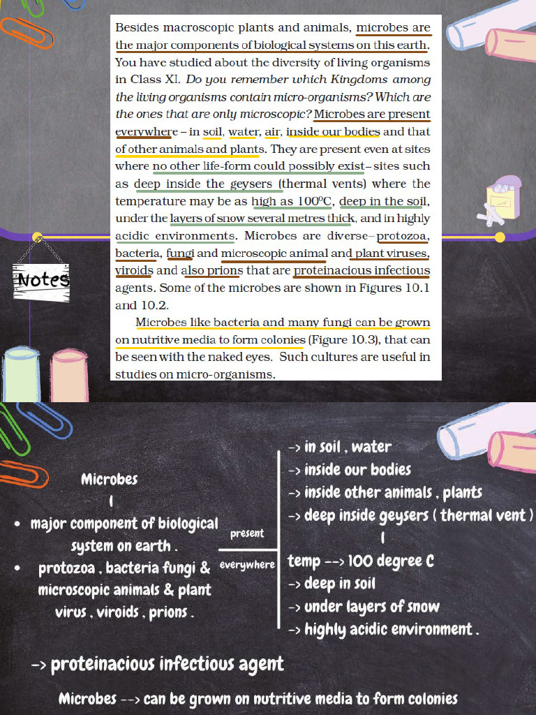 Undlned Microbes Final | PDF