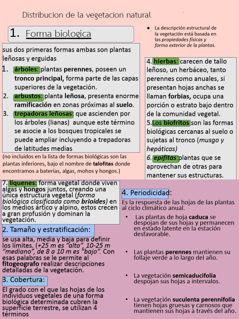 021 - Resumen Distribución de La Vegetación | PDF | Selva | Sabana
