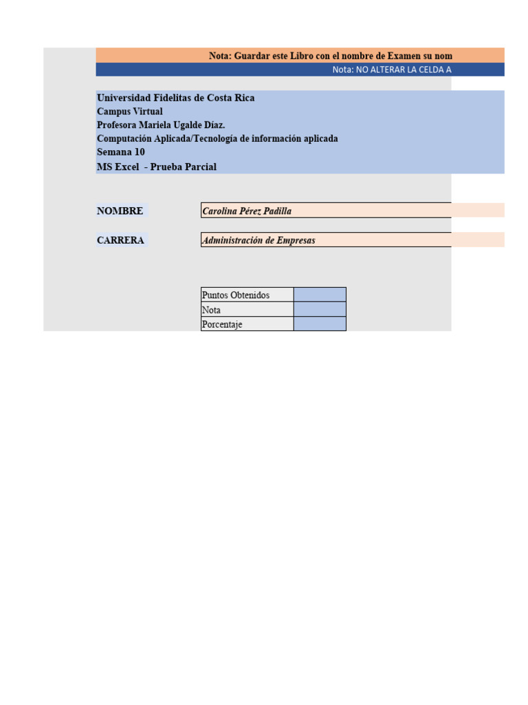Prueba Parcial Borra | PDF | Equipo de oficina | Diseño