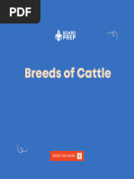 Official List of Breed Codes For Bovine: Beef Breeds | PDF | Livestock | Mammal Breeds