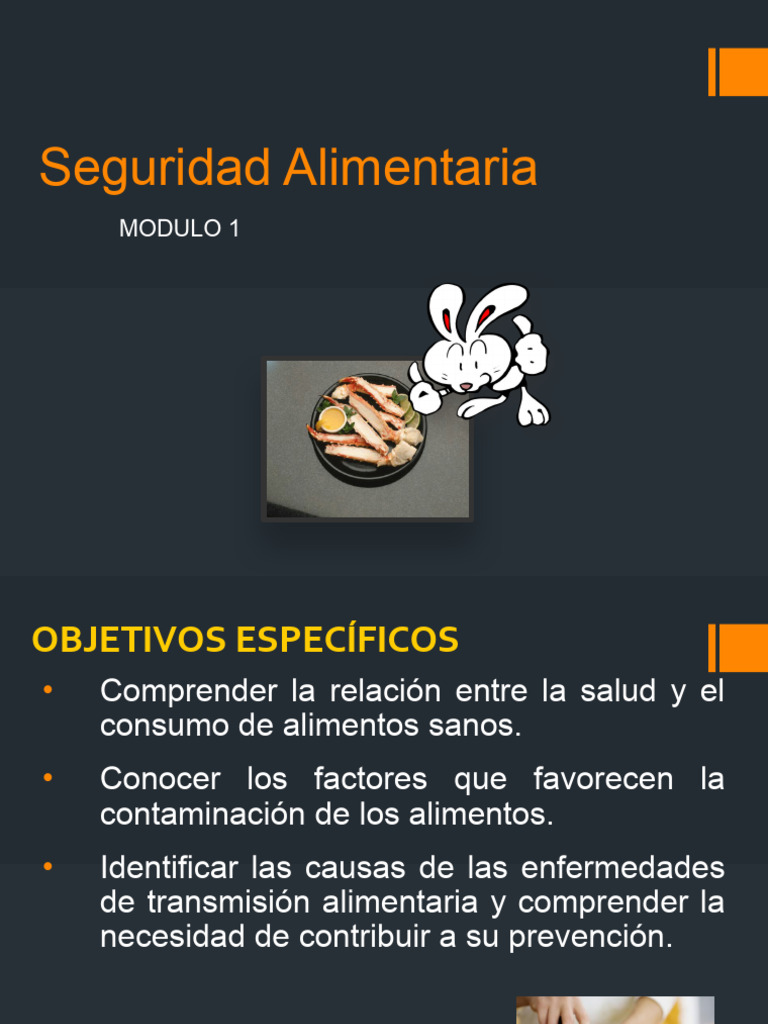 Modulo 1 Seguridad Alimentaria RV | PDF | Alimentos | Seguridad alimentaria