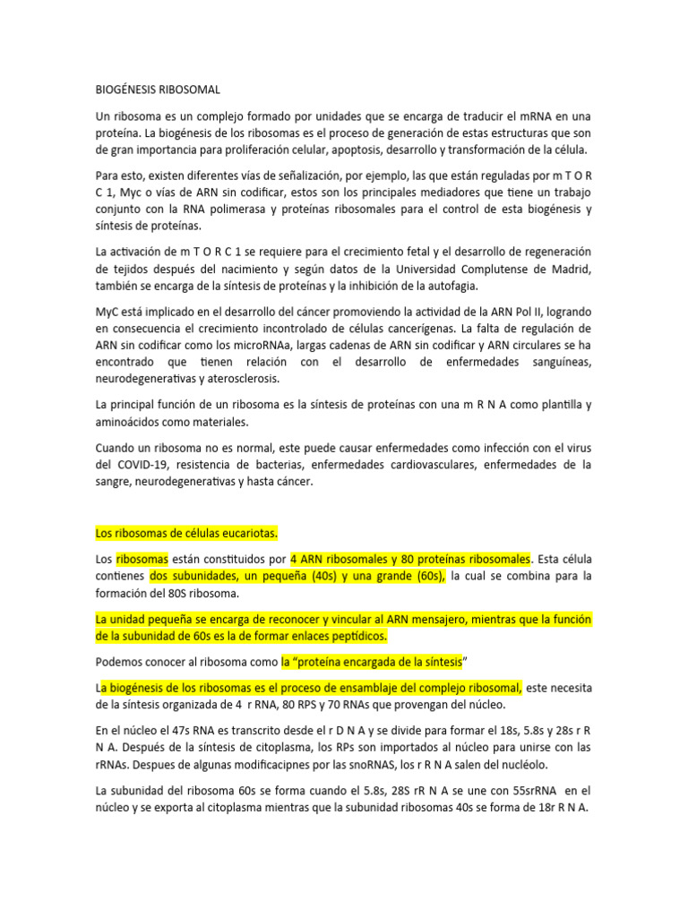 Biogénesis Ribosomal | PDF | Ribosoma | Rna