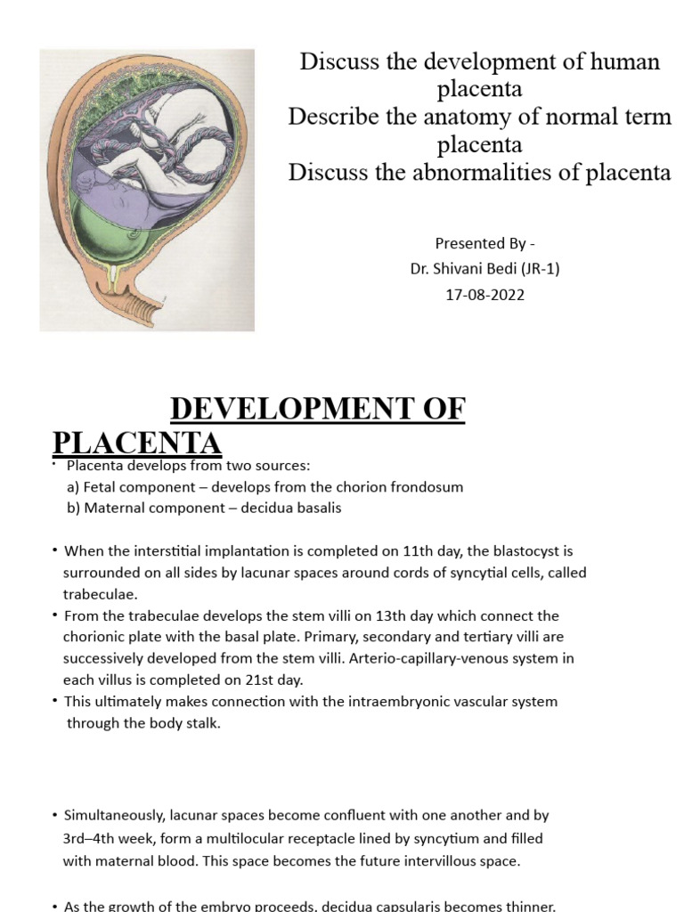 Placenta | PDF | Placenta | Human Pregnancy