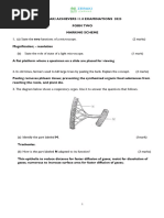Temporary Slide Preparation Techniques | PDF | Staining | Microscopy