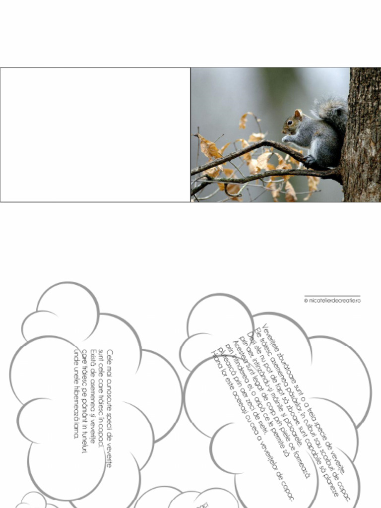 Mini Dosar Veverita | PDF