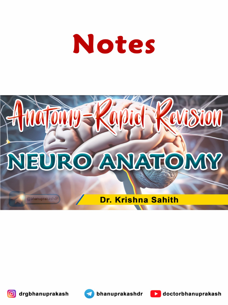 Rapid Revision Neuroanatomy | PDF | Central Nervous System ...