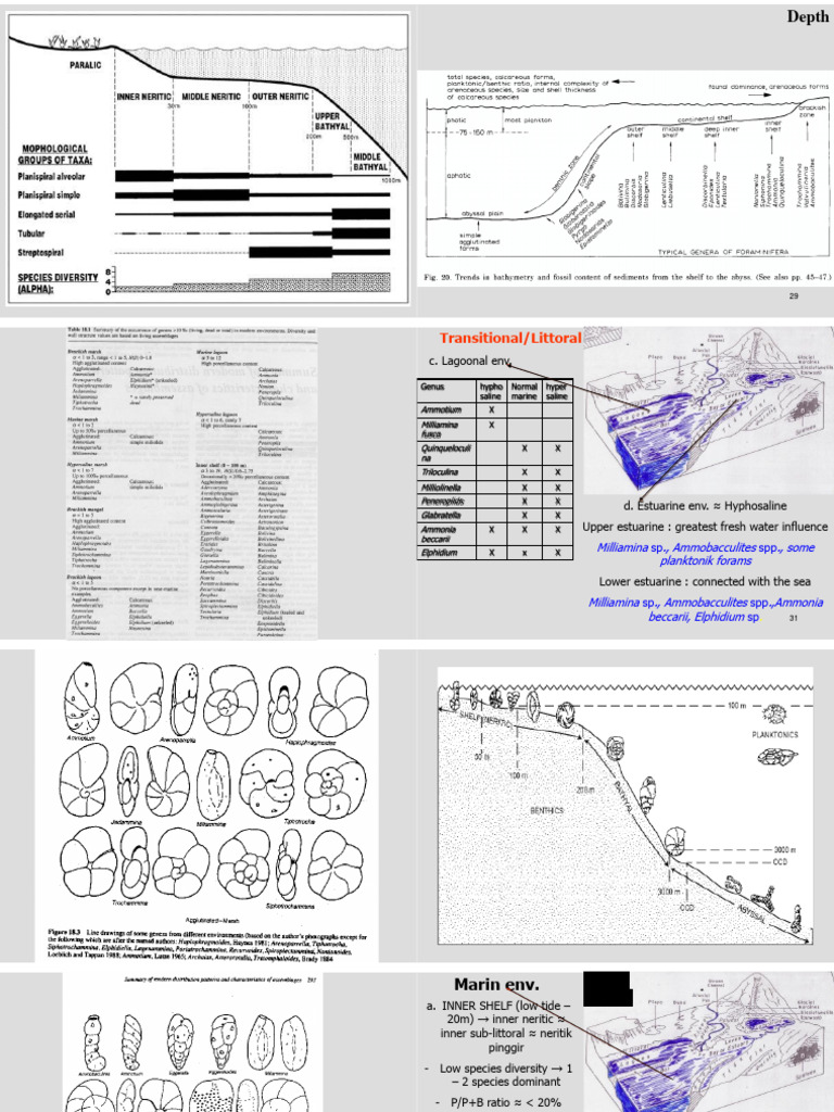 Cheatsheet Uas Pa Ruby Kavid | PDF | Littoral Zone | Physical Oceanography