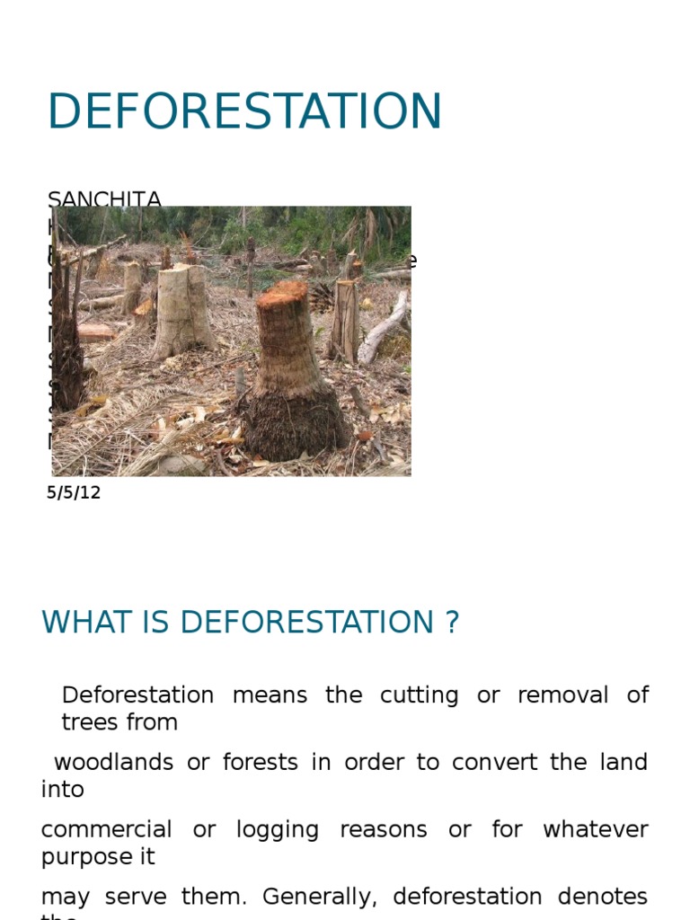 Deforestation - Final Prroject | PDF | Deforestation | Rainforest