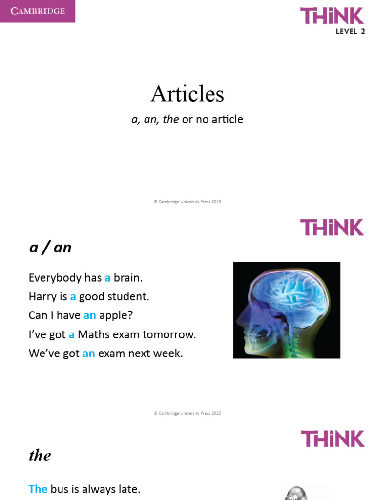 Think l2 Grammar Presentation 2 Articles | PDF | Noun | Linguistic Morphology
