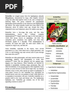 Butterfly Life Cycle and Characteristics | PDF | Butterfly | Insects