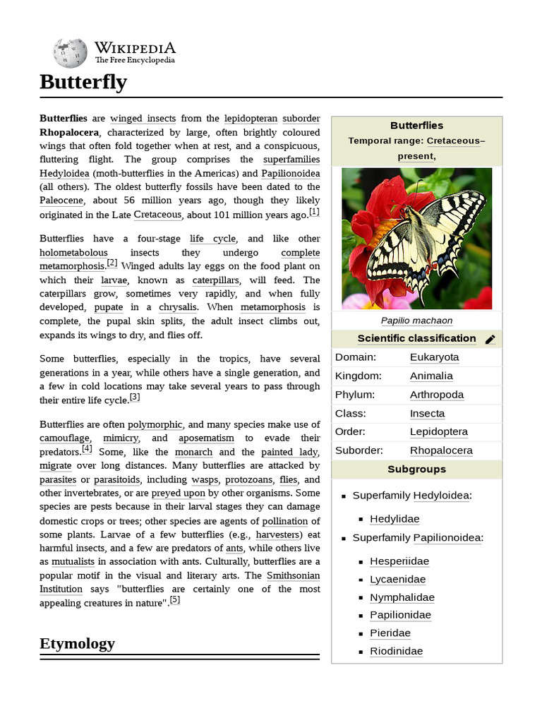 Butterfly | PDF | Butterfly | Pupa