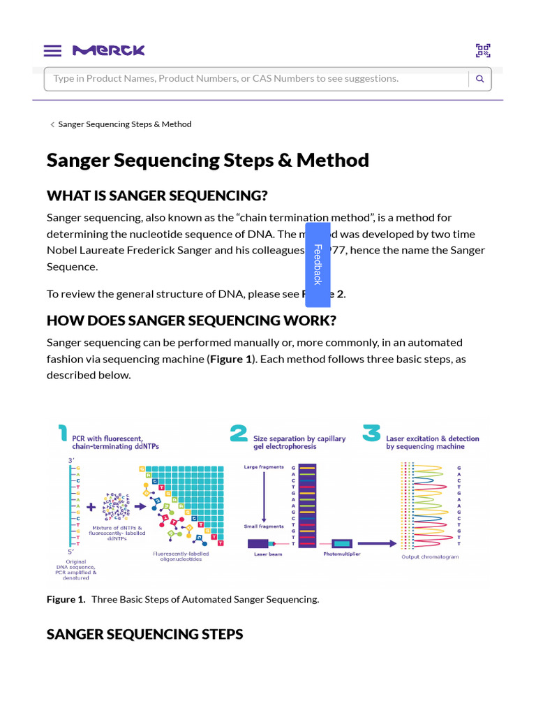 Sanger Sequencing Steps & Method | PDF | Dna Sequencing | Gel ...