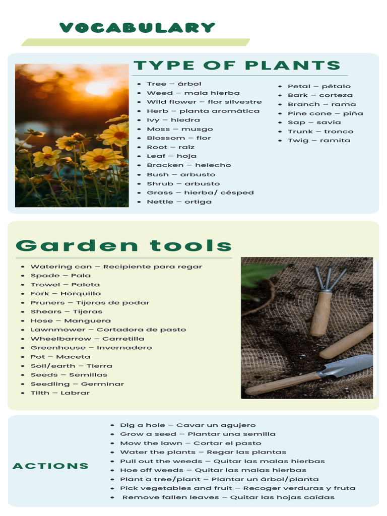Plants | PDF