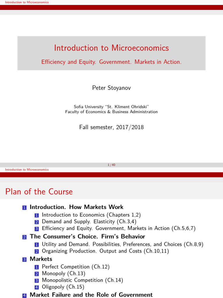 FEBA Micro 04 Efficiency and Equity Government Markets | PDF | Taxes ...