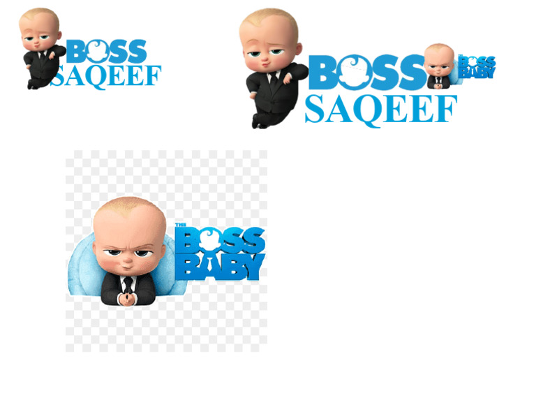 SAQEEF Overview and Insights | PDF