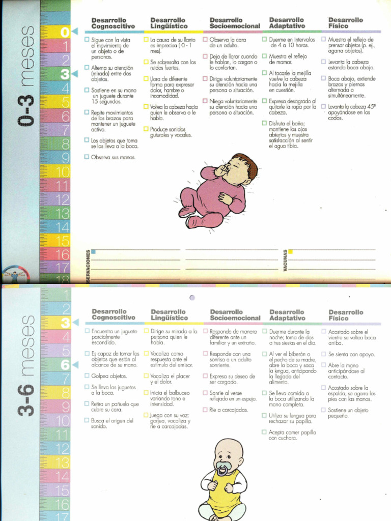 Hitos Del Desarrollo | PDF