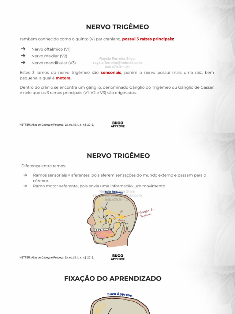 Buco Approve - Resumo Nervo Trigemeo - V1. | PDF | Sistema nervoso ...