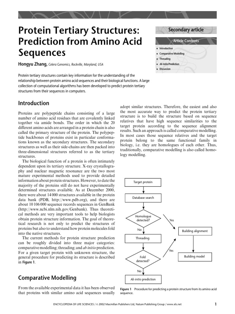 document | PDF | Proteins | Protein Structure