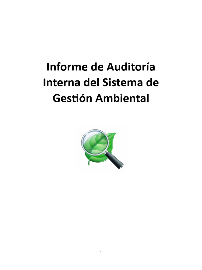 Informe Auditoria Sga | PDF | Auditoría | Uso eficiente de energía