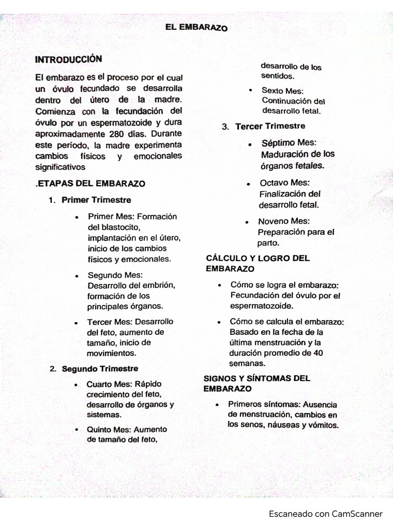 Embarazo Normal | PDF