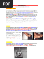 RX de Pie | PDF | Pie | Extremidades (anatomía)