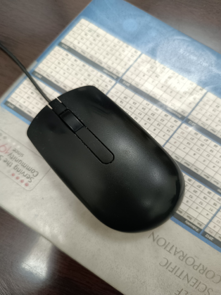 Mouse Pic | PDF