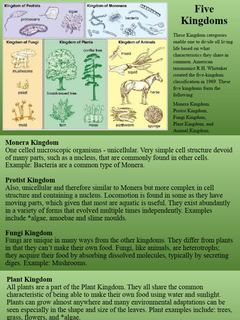 Five Kingdoms | PDF | Eukaryotes | Cell (Biology)