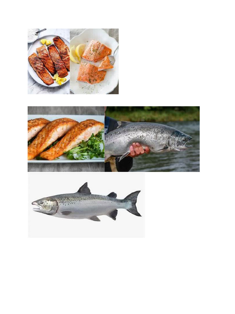 Salmon | PDF