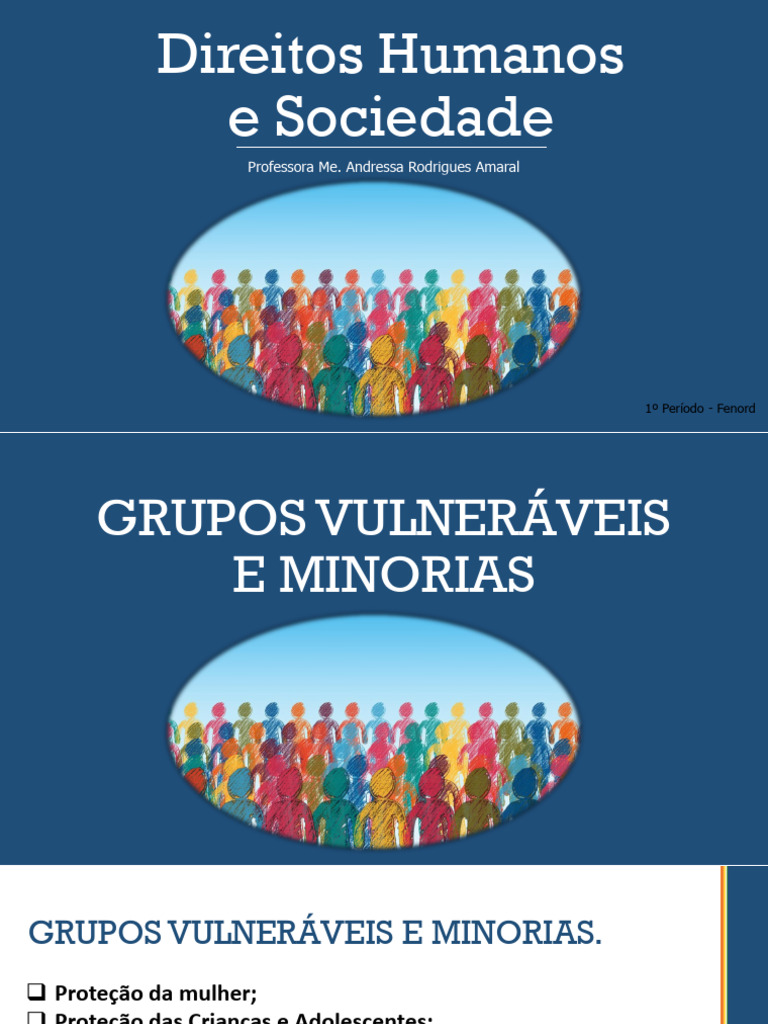 Slide - Grupos Vulnerã - Veis e Minorias | PDF | Povos indígenas