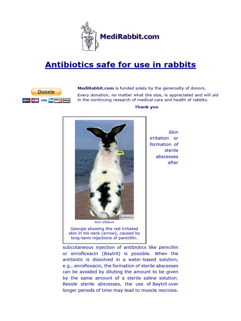 Antibiotics Safe For Use in Rabbits | PDF | Injection (Medicine ...