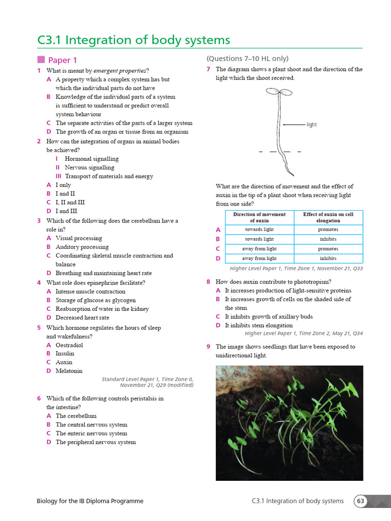 C3.1 Integration of Body Systems - WS | PDF | Auxin | Biology