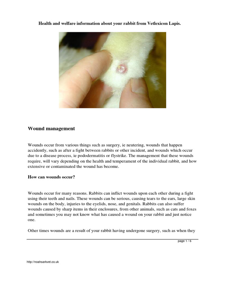 Wound Management From Vetlexicon Rabbit | PDF | Wound | Surgery