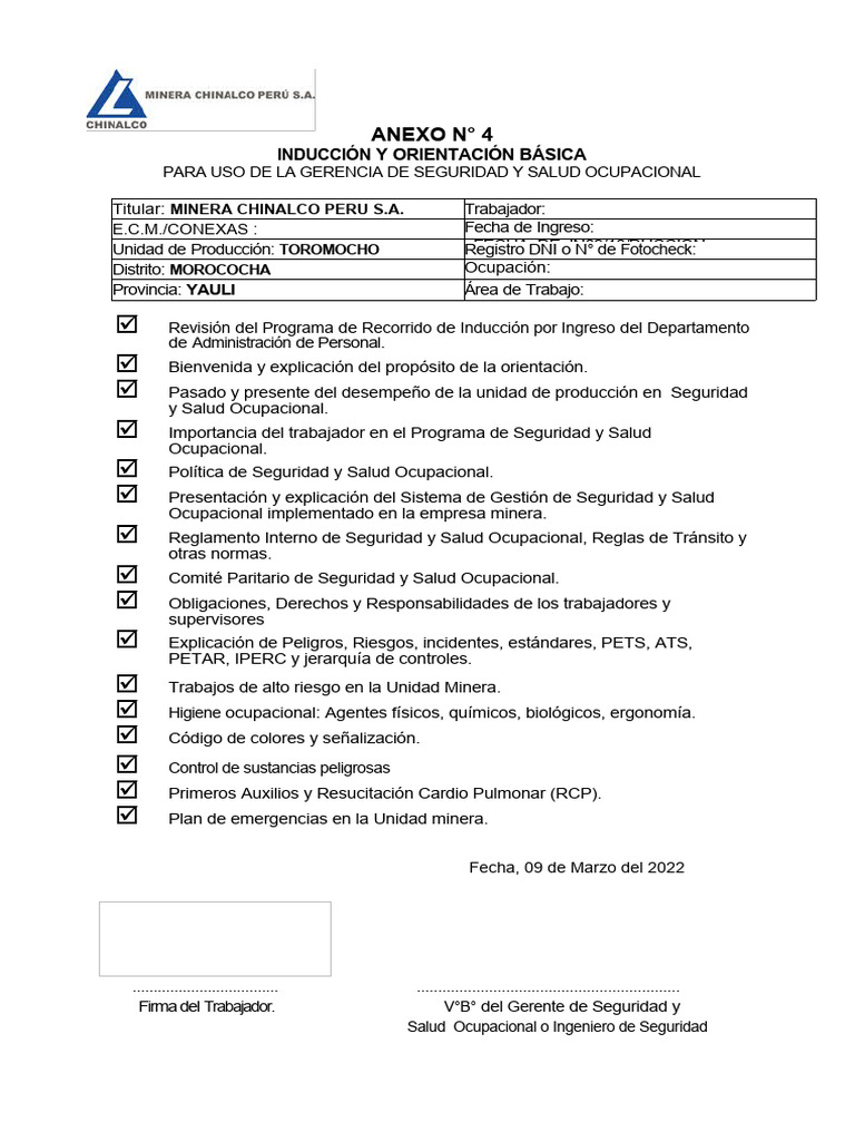 Formatos Obligatorios Inducción Minera Chinalco | PDF | Seguridad y ...