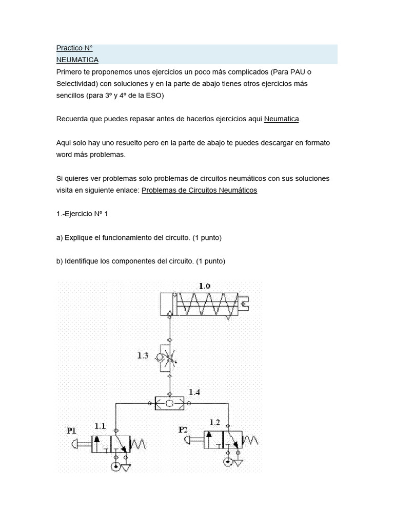 04 Practico Neumatica | PDF | Neumática | Gases