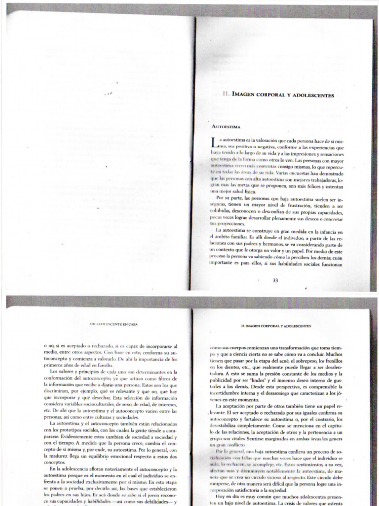 Un Adolescente - Cap2 | PDF