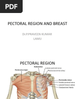 The Axilla Region - Borders - Contents - TeachMeAnatomy | PDF | Arm ...